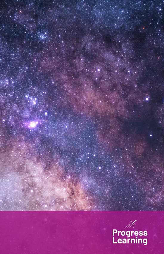 Progress Learning Store